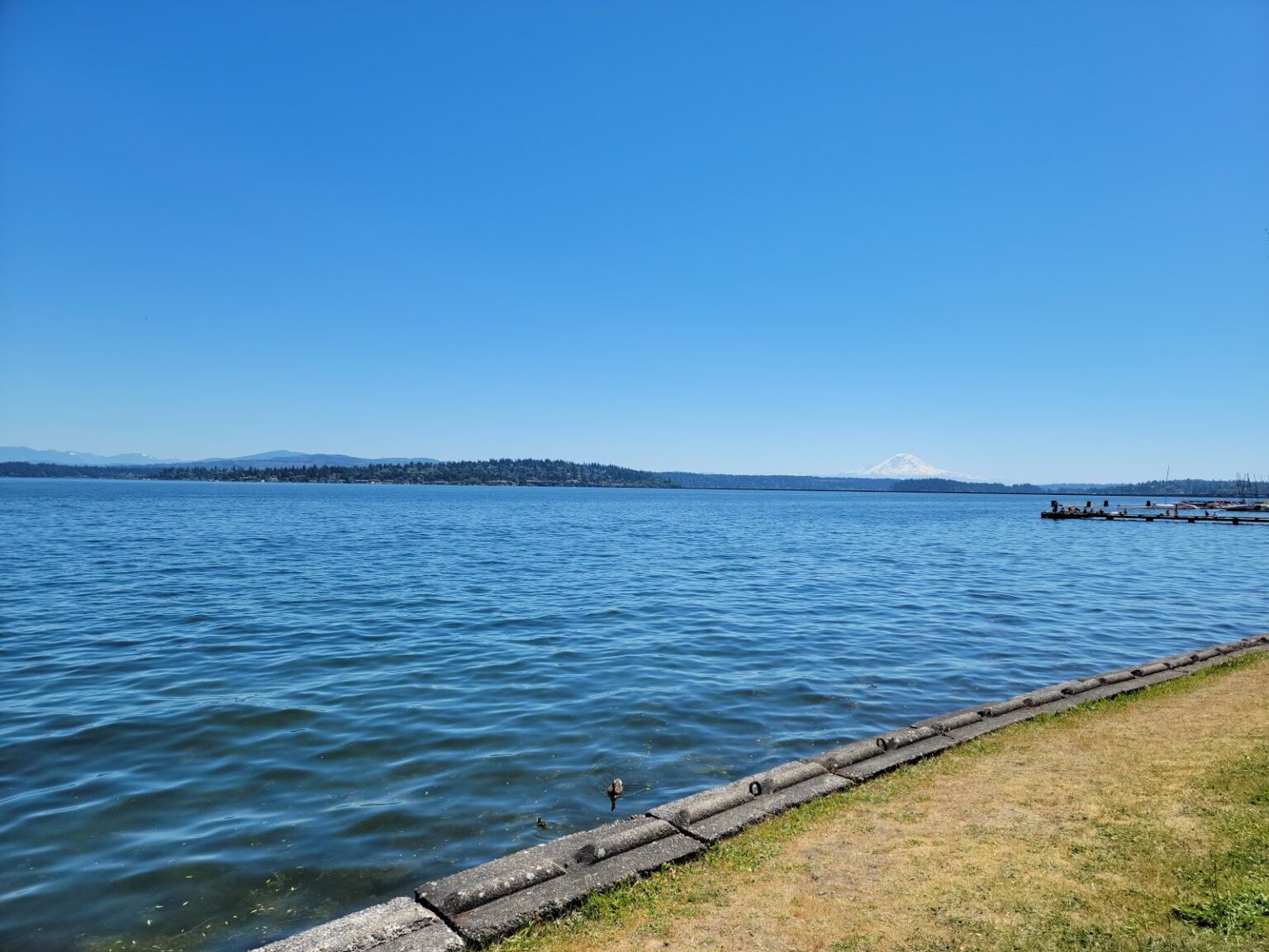 🏖️ Best Seattle Beaches for Summer 🏖️